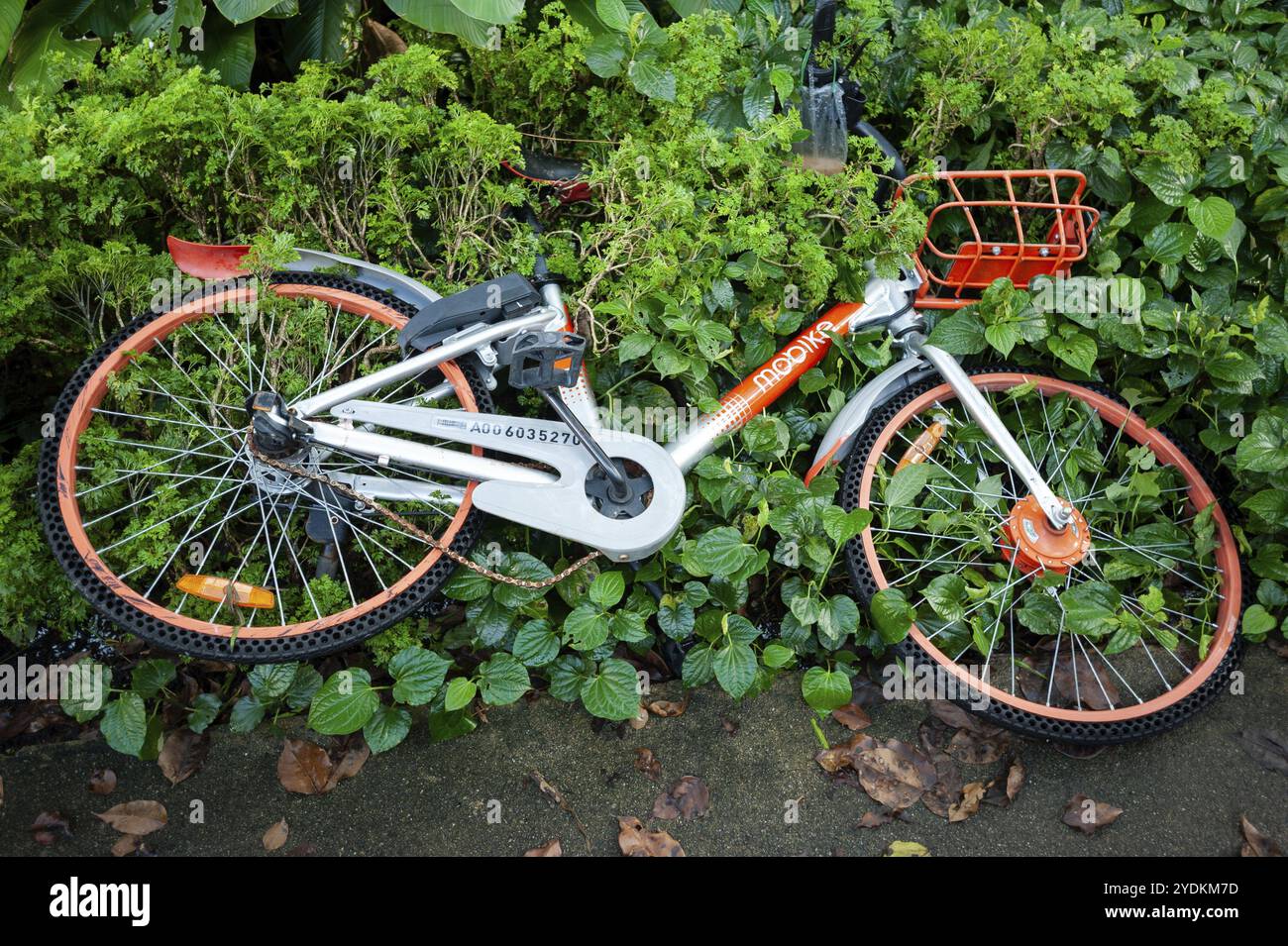 29.11.2018, Singapore, Republic of Singapore, Asia, A broken rental ...