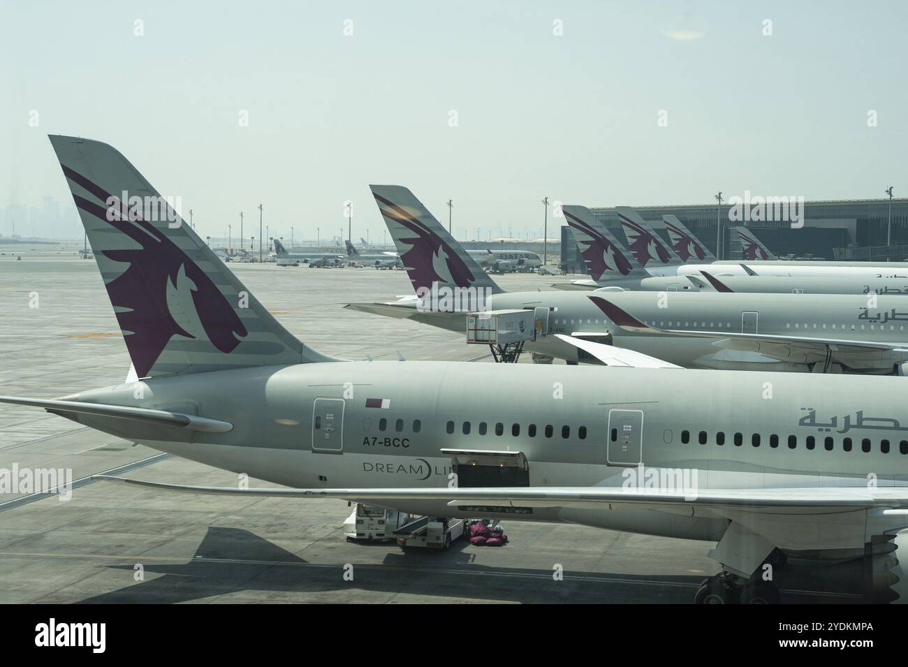 05.06.2019, Doha, Qatar, Qatar Airways passenger aircraft at Hamad ...