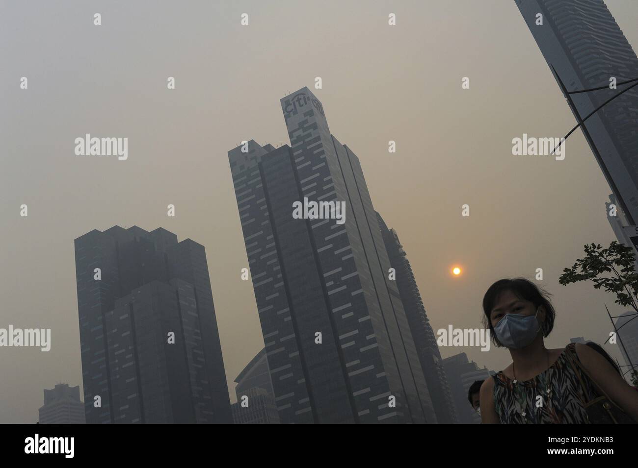 20.06.2013, Singapore, Republic of Singapore, Asia, A woman wearing a ...