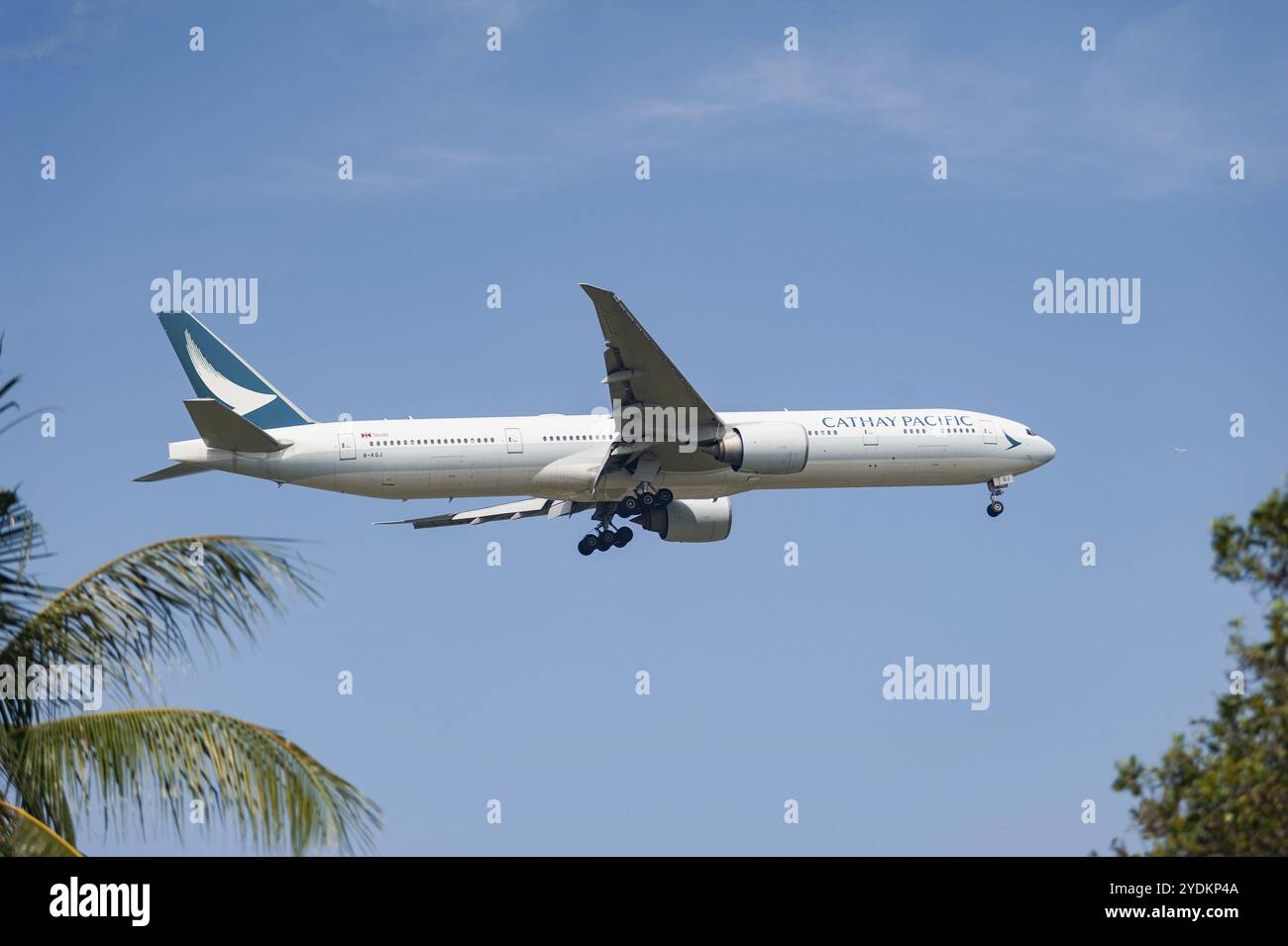 26.07.2023, Singapore, Republic of Singapore, Asia, A Cathay Pacific ...