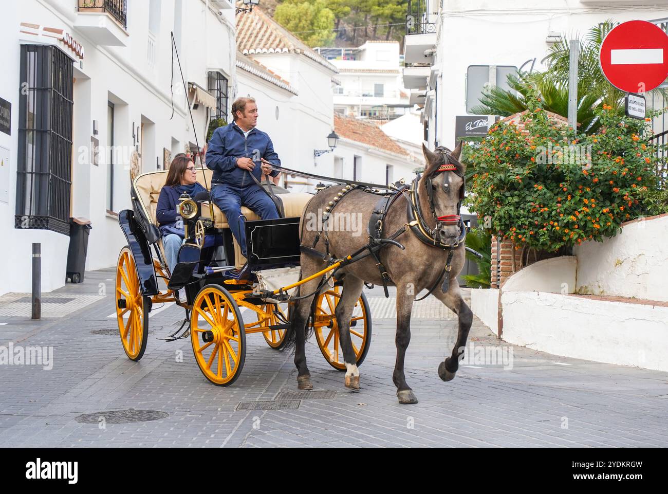 Horse carriage ride with tourist in white washed village of Mijas ...