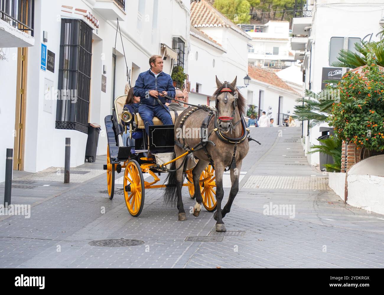 Horse carriage ride with tourist in white washed village of Mijas ...