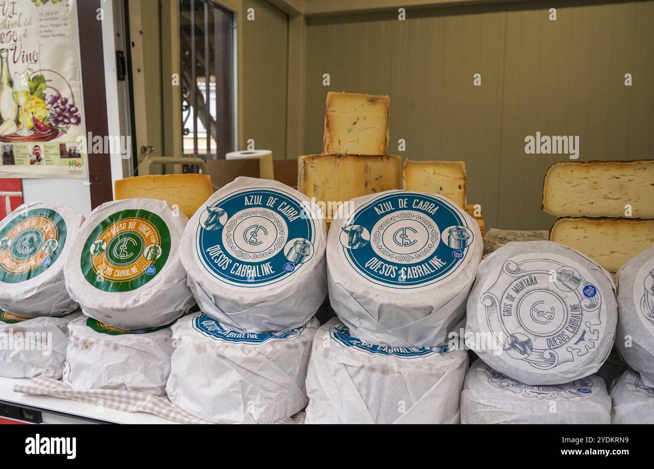 Spanish goat cheese, cheeses on display at event wine and cheese ...