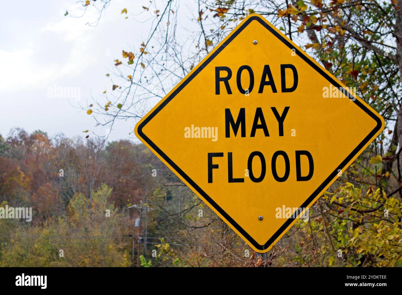 Yellow Diamond Road May Flood sign Stock Photo - Alamy