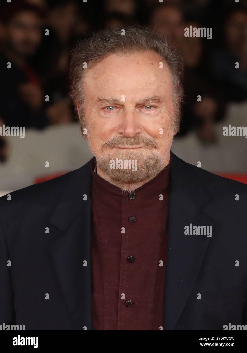 Roma Cinema Fest 2024. Rome Film Fest. Red carpet film "Modi - Three ...