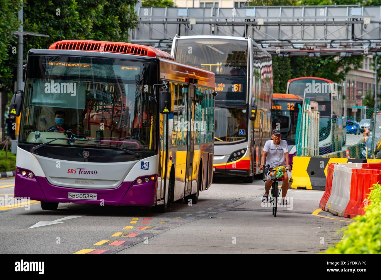 Four buses in a row on a Singapore street and an older man riding a ...