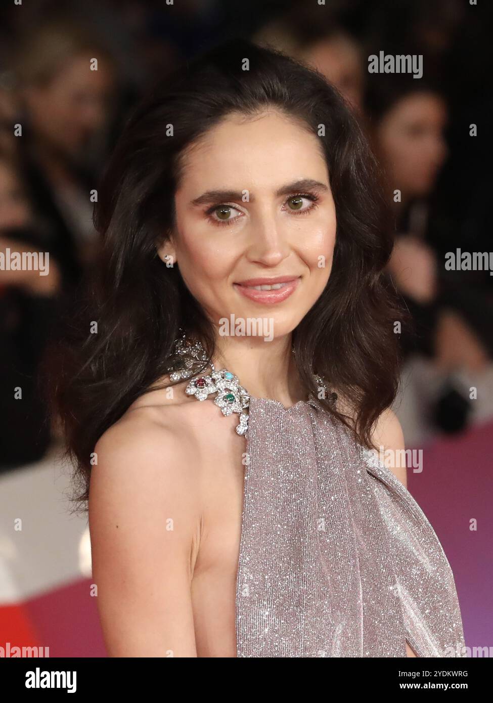 Roma Cinema Fest 2024. Rome Film Fest. Red carpet film "Modi - Three ...