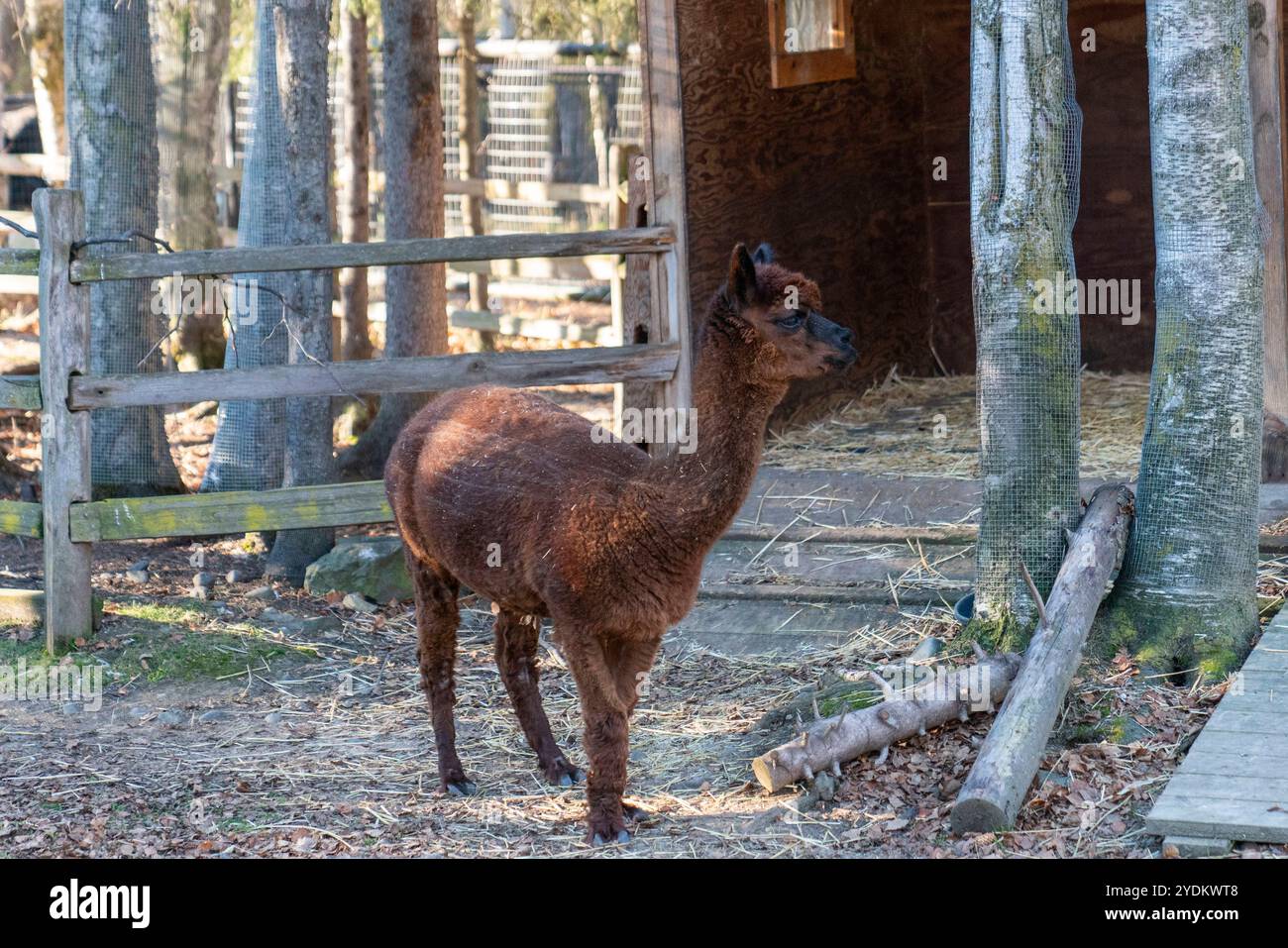Halloween Themed Zoo Boo Event at the Alaska Zoo Alaska, United States ...