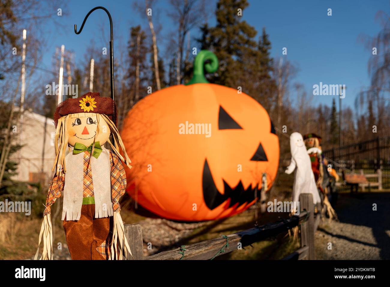 Halloween Themed Zoo Boo Event at the Alaska Zoo Alaska, United States ...