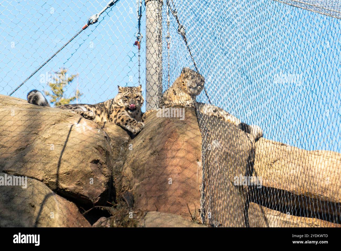 Halloween Themed Zoo Boo Event at the Alaska Zoo Alaska, United States ...