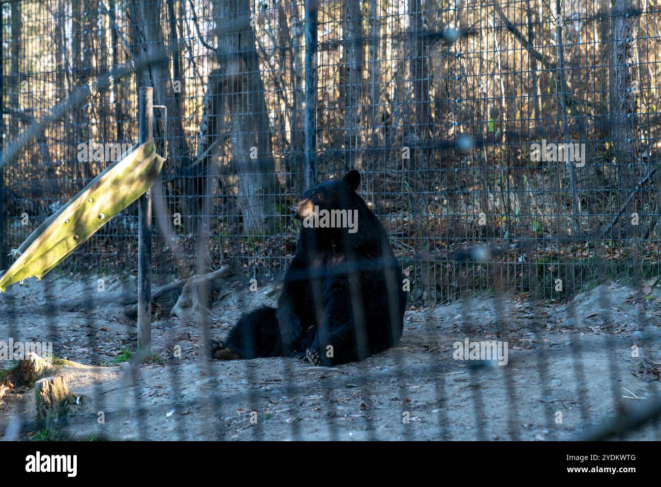 Halloween Themed Zoo Boo Event at the Alaska Zoo Alaska, United States ...