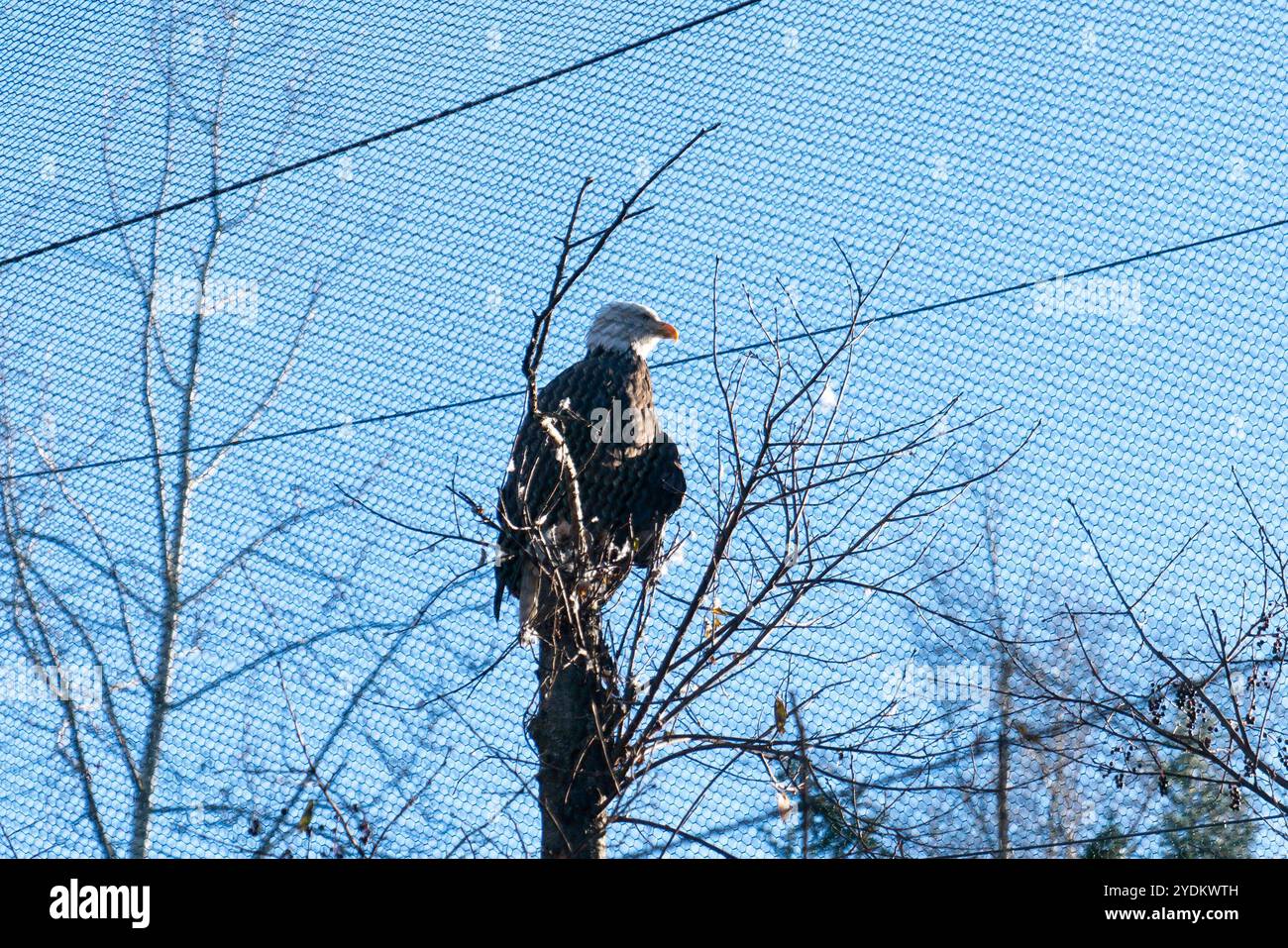 Halloween Themed Zoo Boo Event at the Alaska Zoo Alaska, United States ...