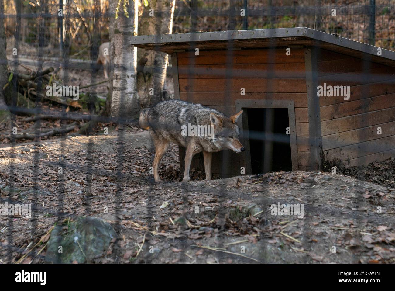 Halloween Themed Zoo Boo Event at the Alaska Zoo Alaska, United States ...