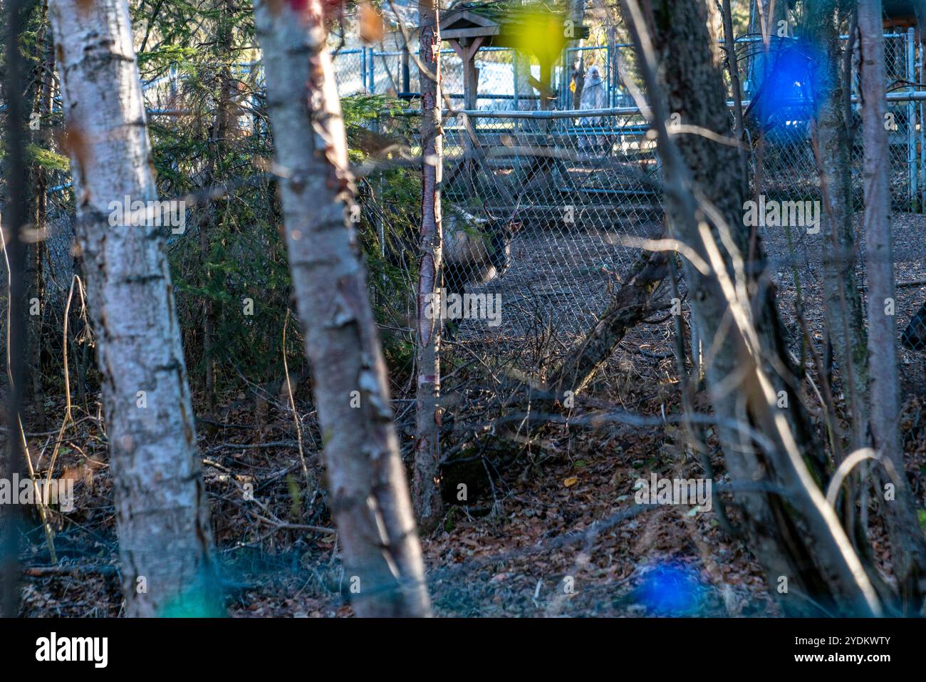 Halloween Themed Zoo Boo Event at the Alaska Zoo Alaska, United States ...