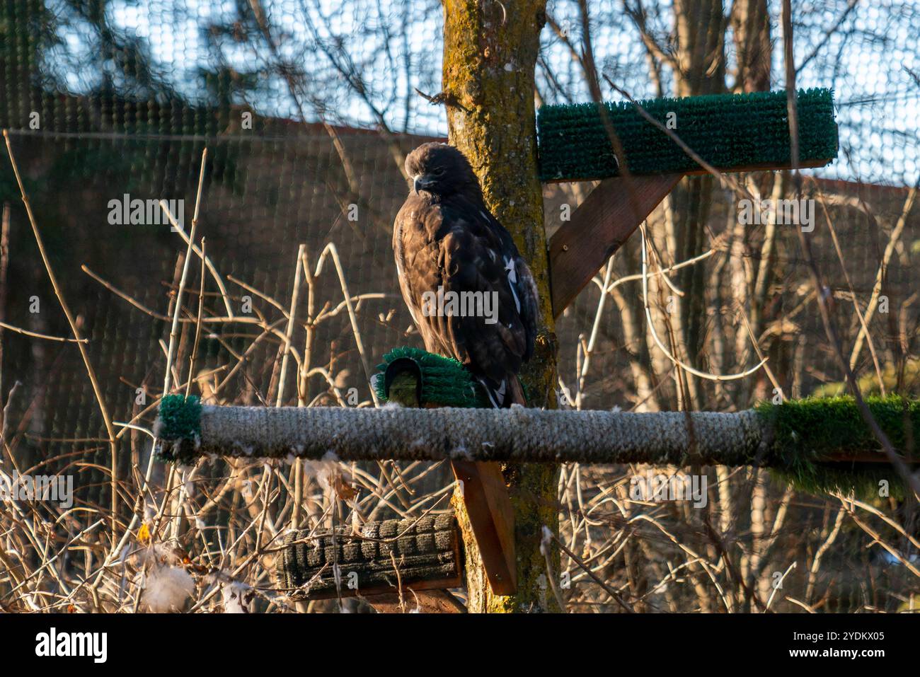 Halloween Themed Zoo Boo Event at the Alaska Zoo Alaska, United States ...