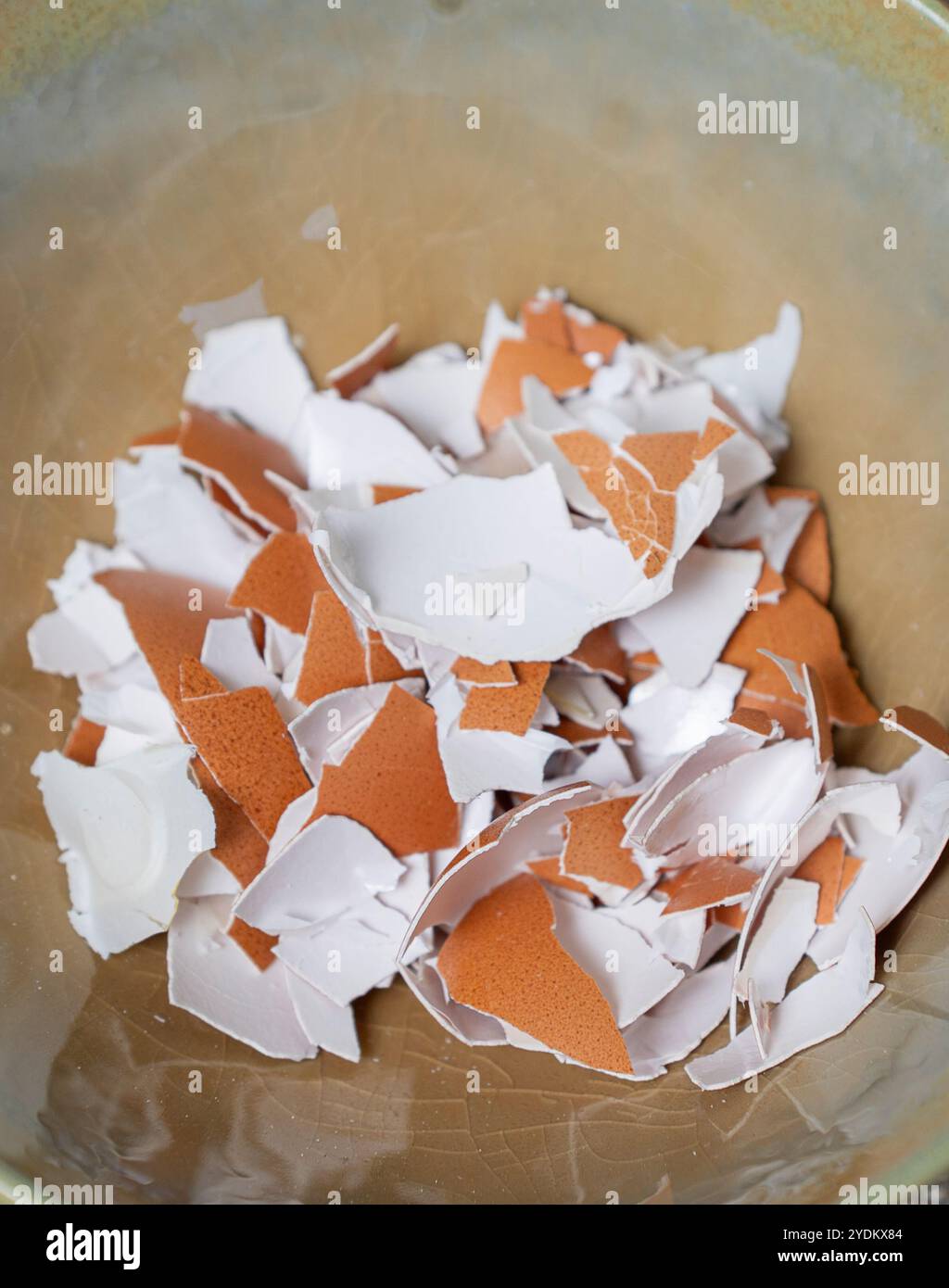 Broken egg shells ,Recycling kitchen waste, Crushed egg shells for the ...