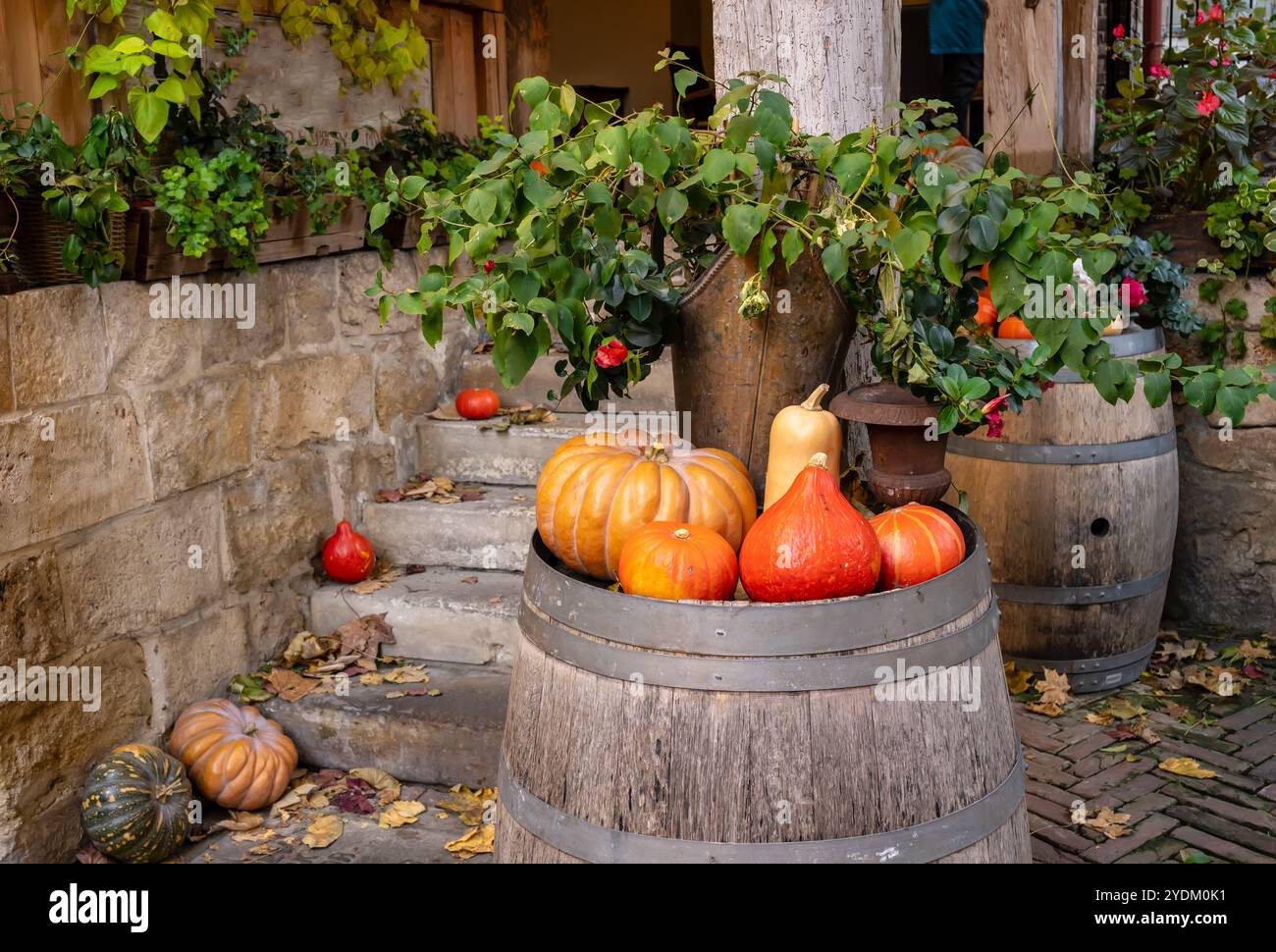 Thanksgiving or Halloween decor and concept. Autumn terrace. Entrance ...