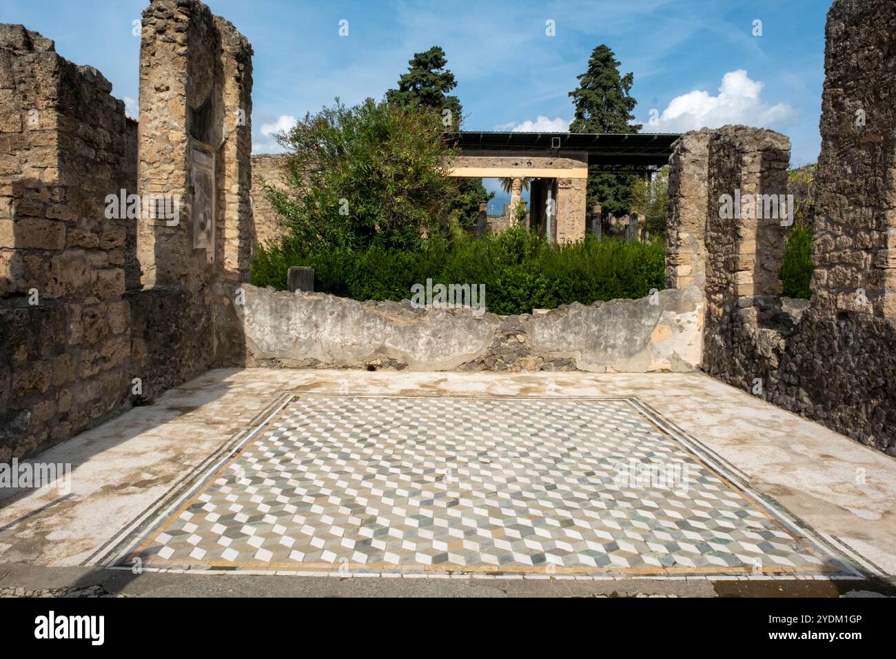 Roman floor mosaic is a large villa, Archaeological park of Pompeii ...