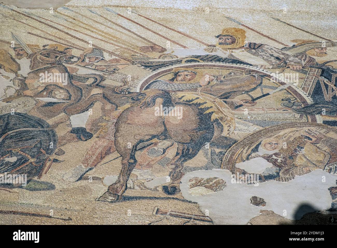 Section of a Mosaic in the House of the Faun, Pompeii, Italy depicting ...