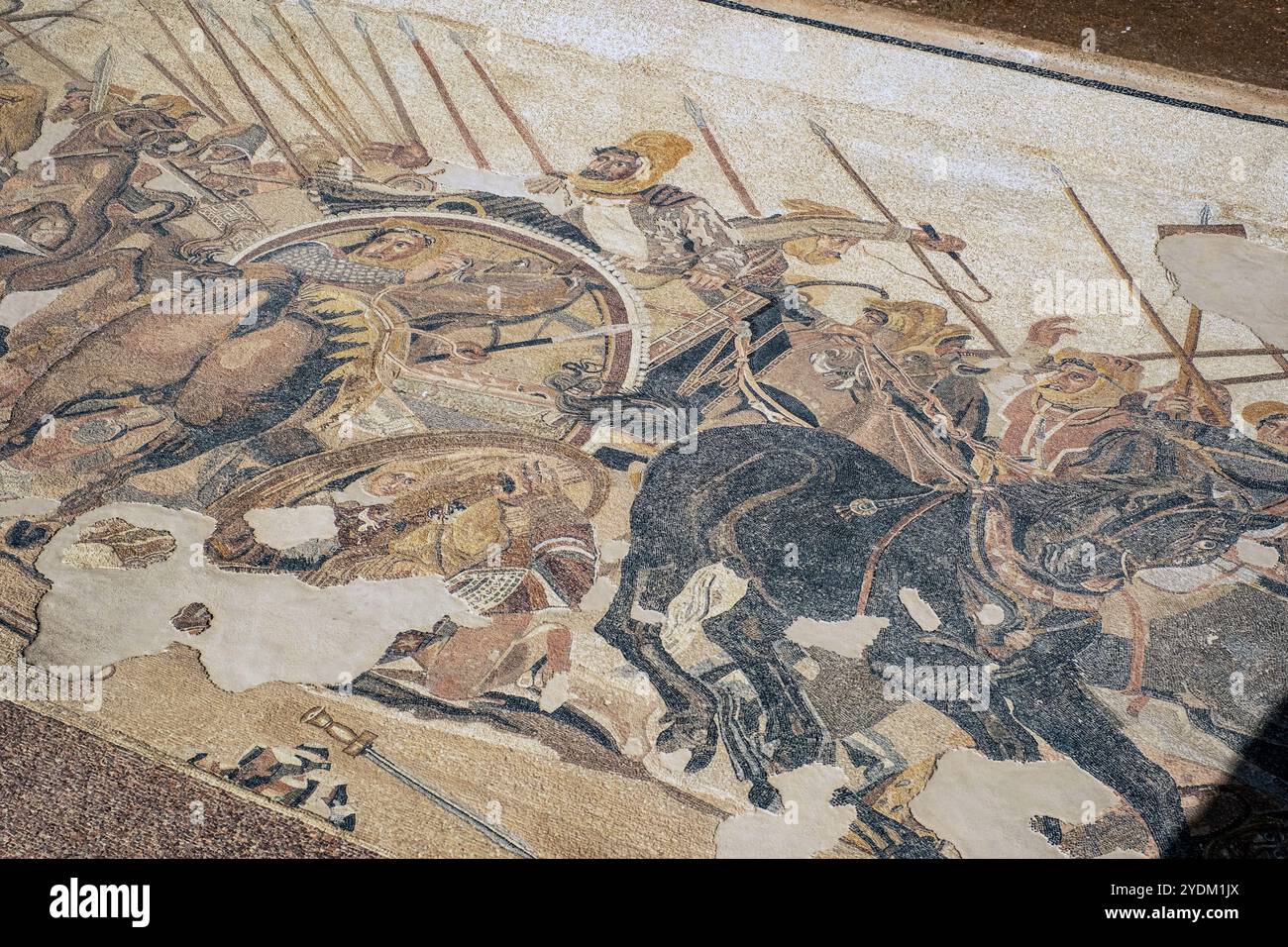 Section of a Mosaic in the House of the Faun, Pompeii, Italy depicting ...