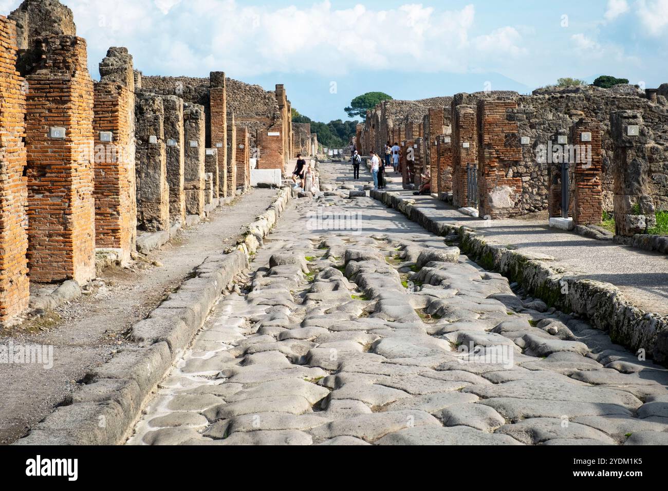 Stone paved street showing wagon and chariot wheel ruts, Archaeological ...