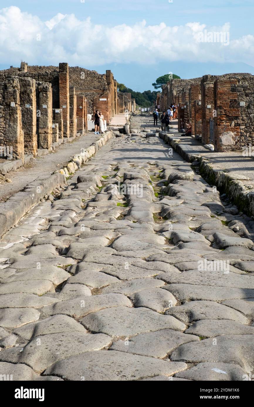 Stone paved street showing wagon and chariot wheel ruts, Archaeological ...