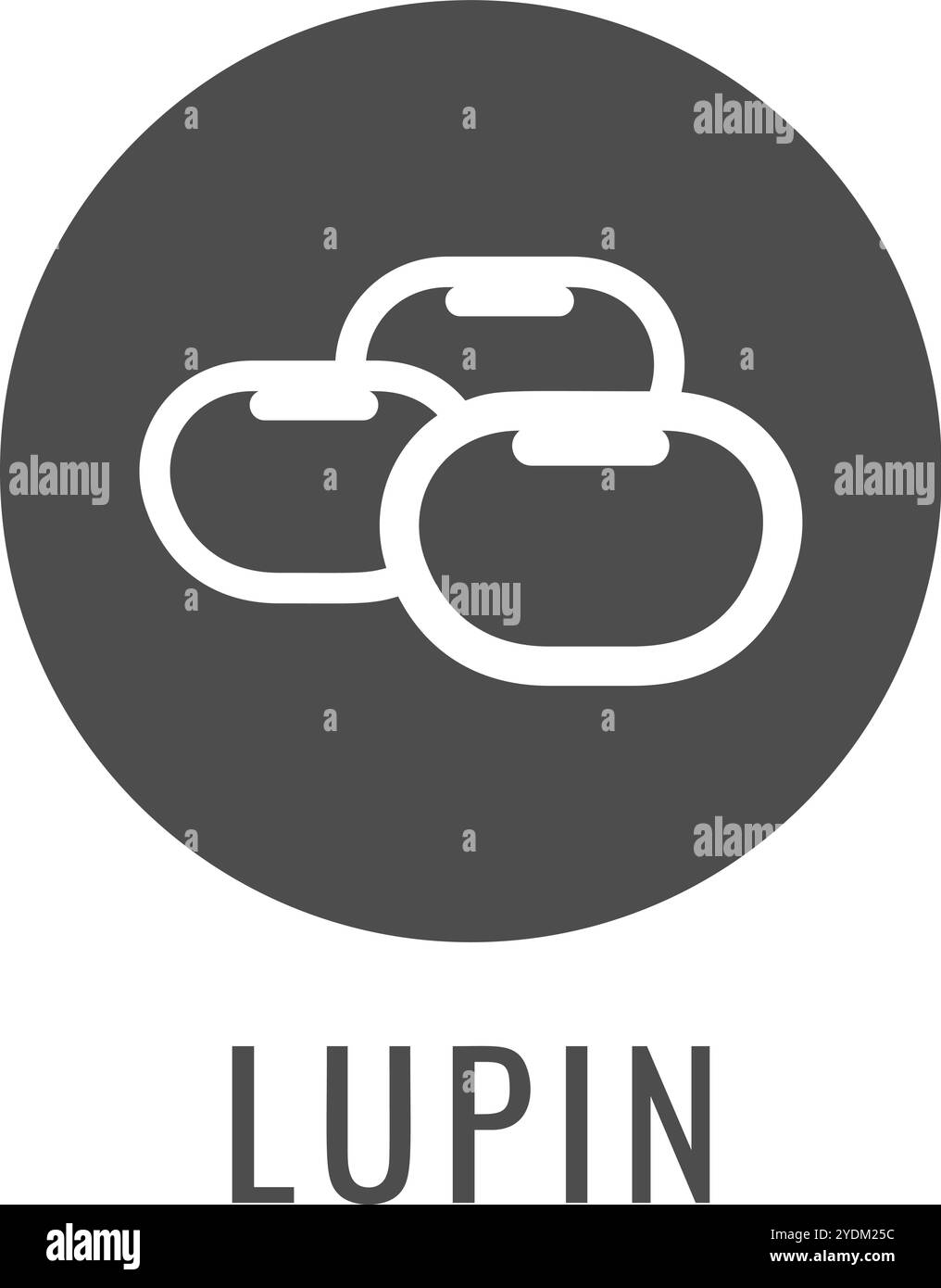 Lupin Bean Legume Food Icon Concept Stock Vector Image & Art - Alamy