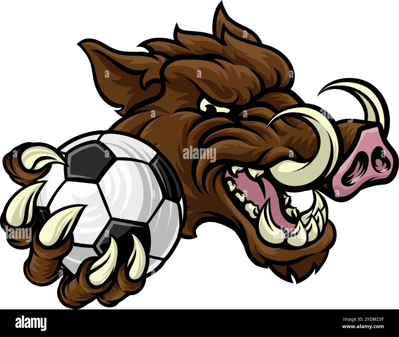 Wild boars soccer team hi-res stock photography and images - Alamy