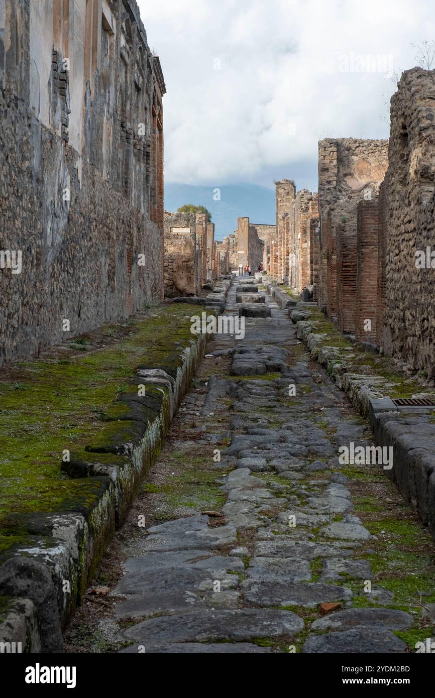 Stone paved street showing wagon and chariot wheel ruts, Archaeological ...