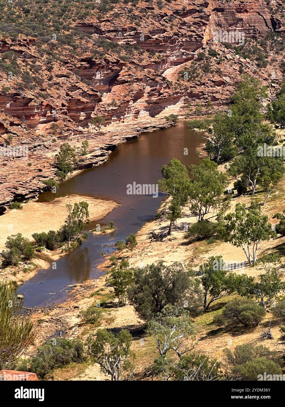 Kalbarri skywalk hi-res stock photography and images - Alamy