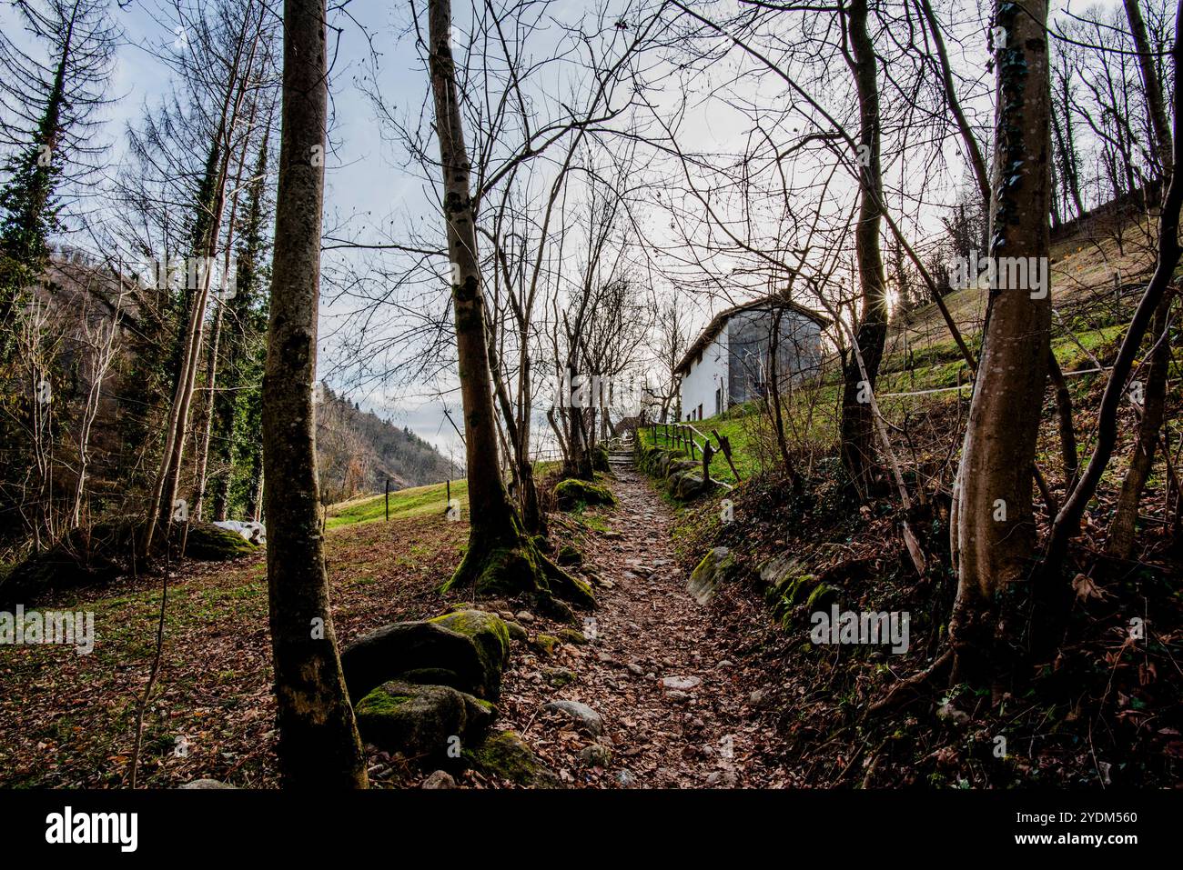 old path between the woods and stone walls in the Brenbana Valley with ...