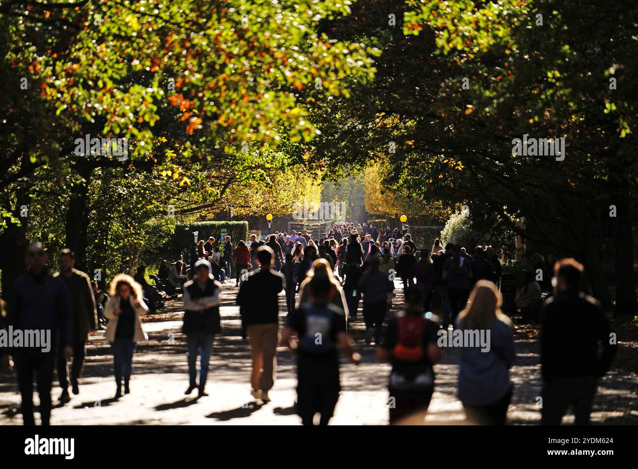 People walking on the Broad Walk in Regent's Park in London. Picture ...