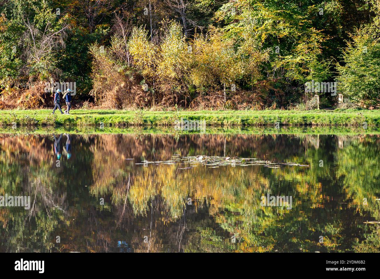Englefield Green, UK. 27th October, 2024. Pretty reflections in the Cow ...