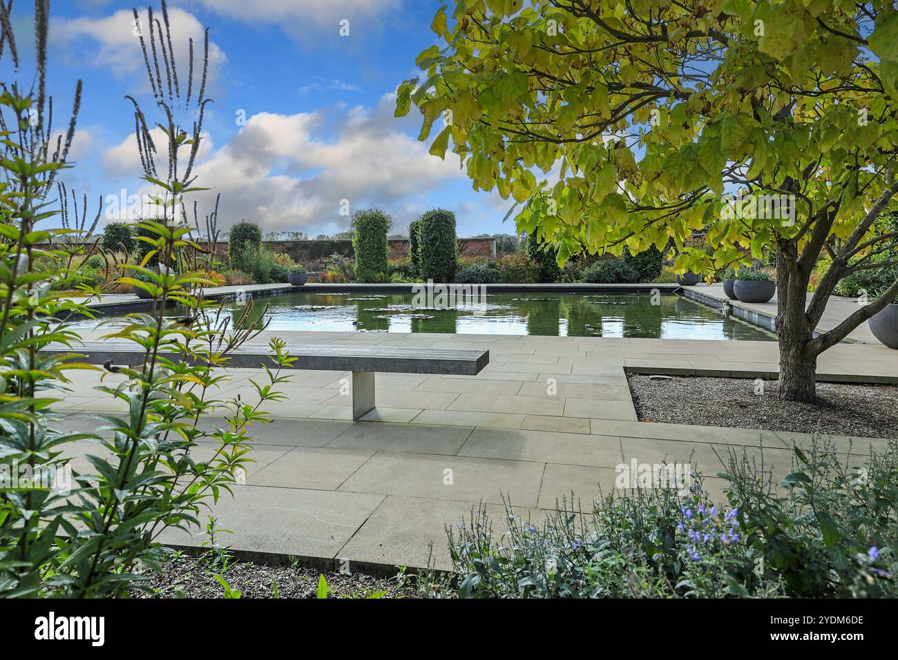 The Pond in the Paradise garden at the RHS Garden Bridgewater Gardens ...