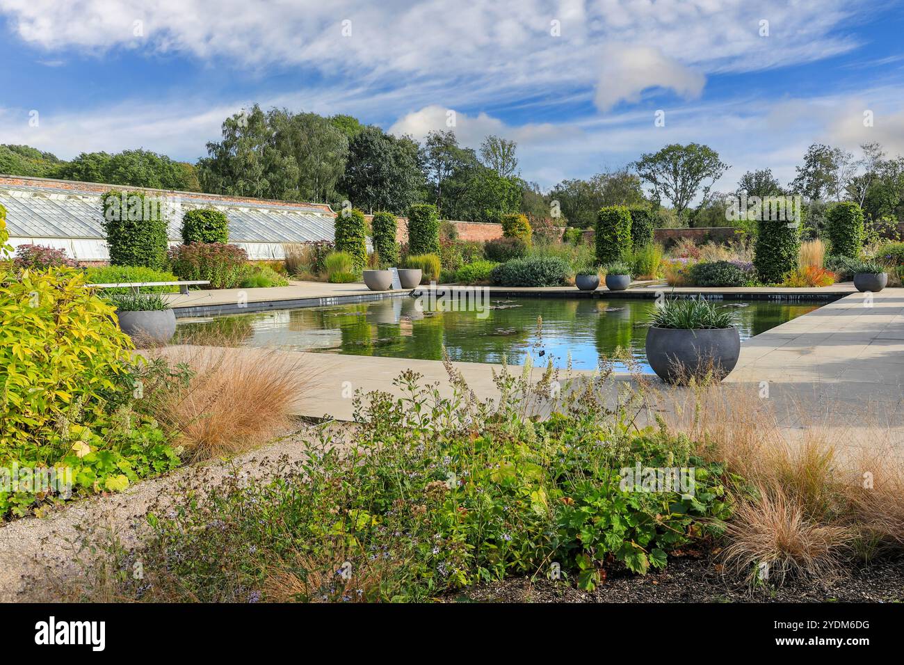 The Pond in the Paradise garden at the RHS Garden Bridgewater Gardens ...