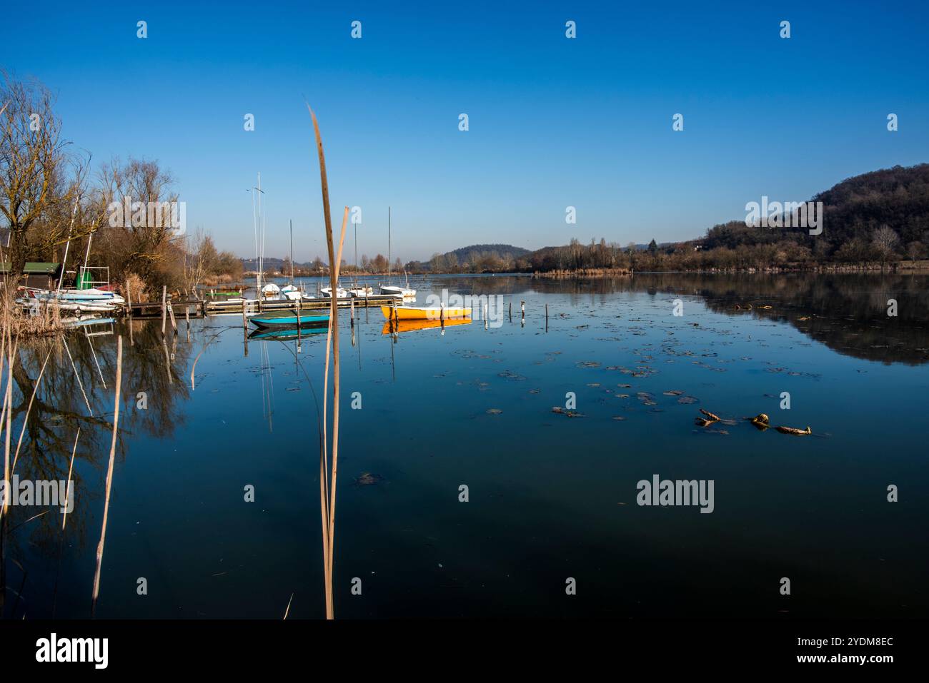 panorama of Fimon lake among the calm and quiet waters on an autumn day among trees and hills of ...