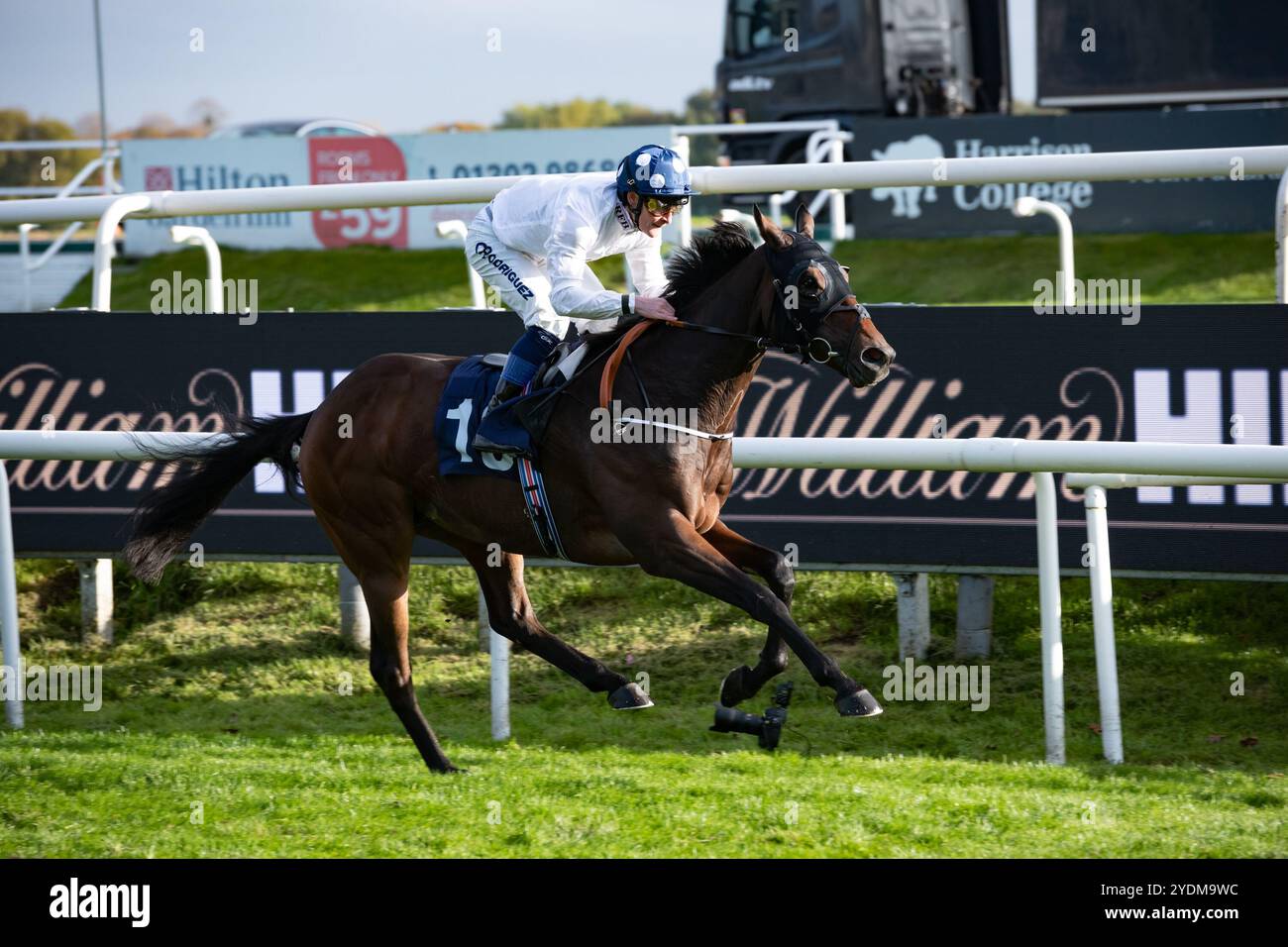 William haggas horse racing 2024 hi-res stock photography and images ...
