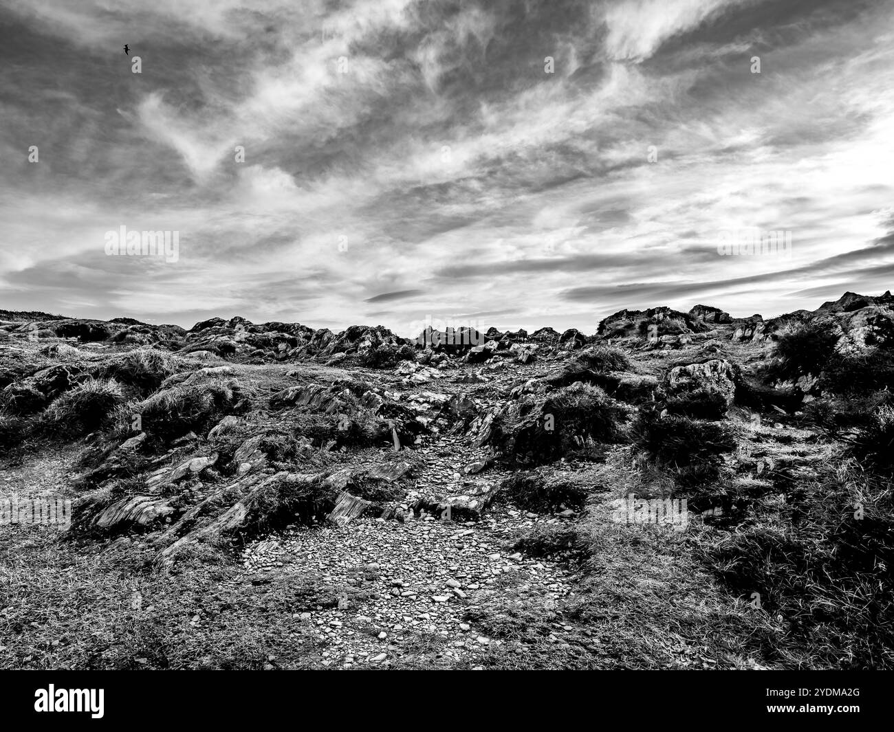 A winding rocky path traverses the rugged terrain, surrounded by ...
