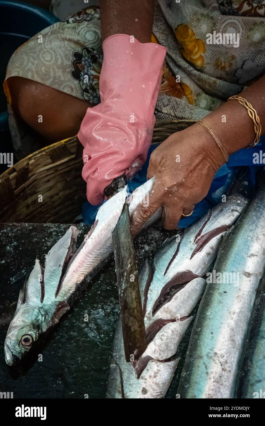 Street fish stall in a market. Woman cleaning fish. Indian woman ...