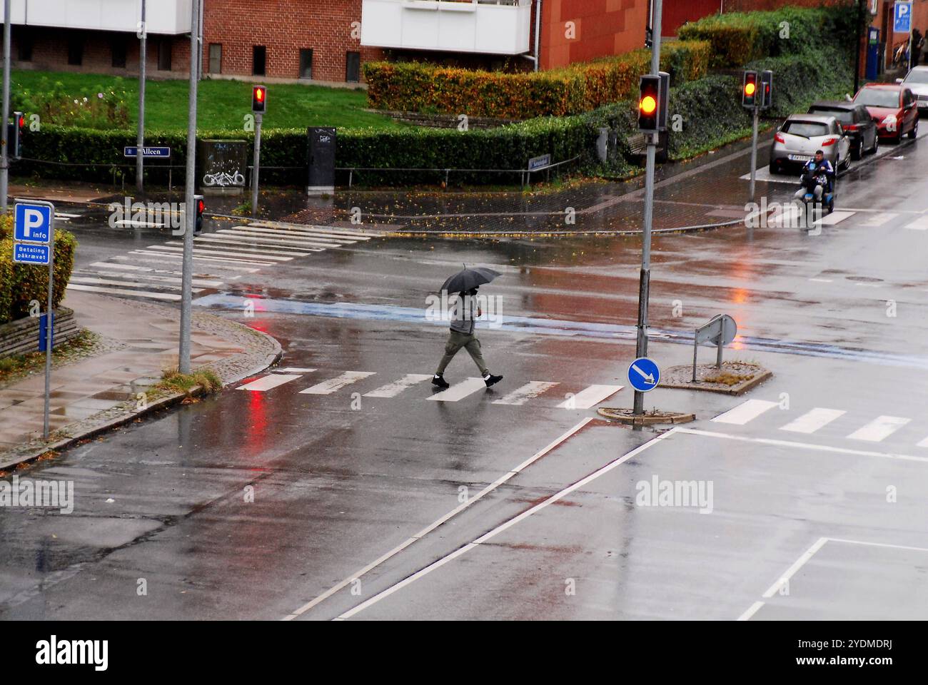 Copenhagen/ Denmark/27 October 2024/ Danish weather rain fall in danish ...