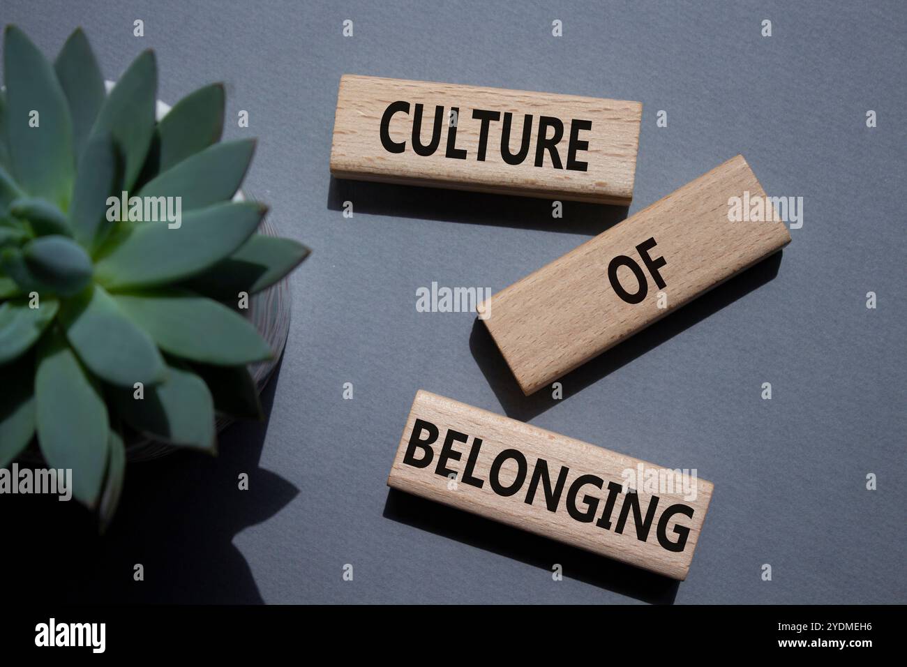 Culture of Belonging symbol. Wooden blocks with words Culture of ...