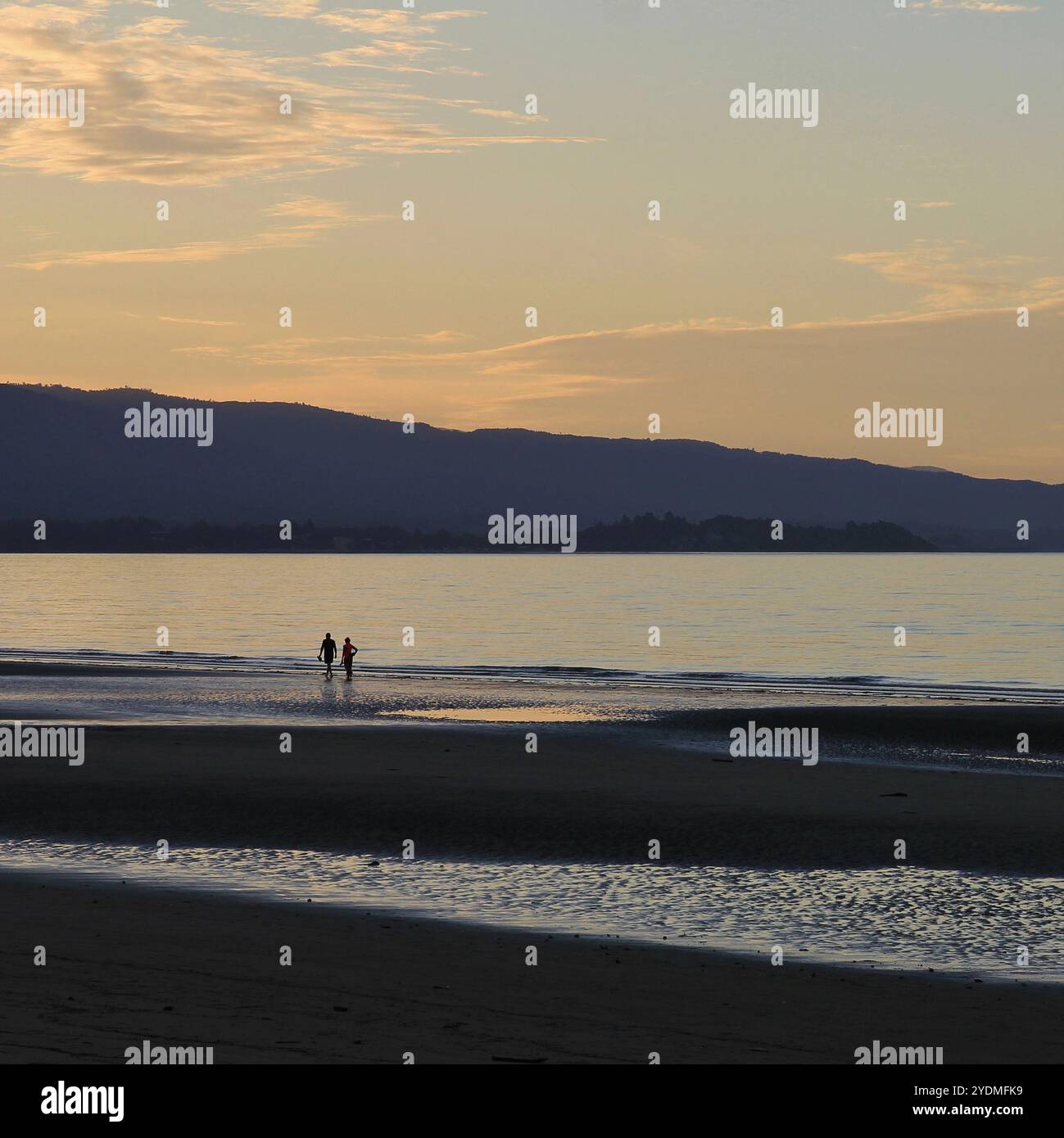 Morning scene at Pohara Beach, Golden Bay, New Zealand Stock Photo - Alamy