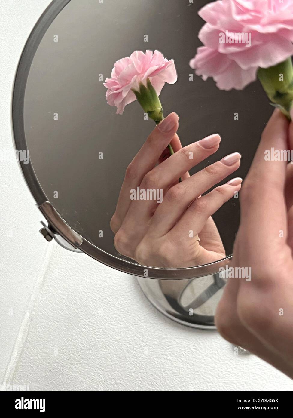 A delicate hand is seen holding a pink flower while reflected in a ...