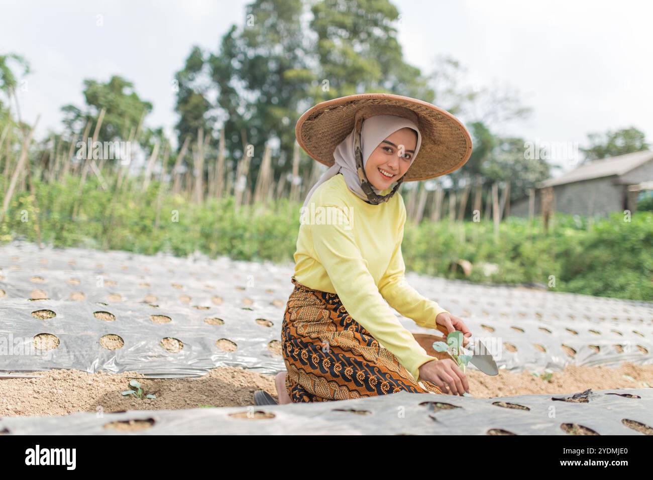 A woman, dressed in traditional attire, is cultivating various crops on ...