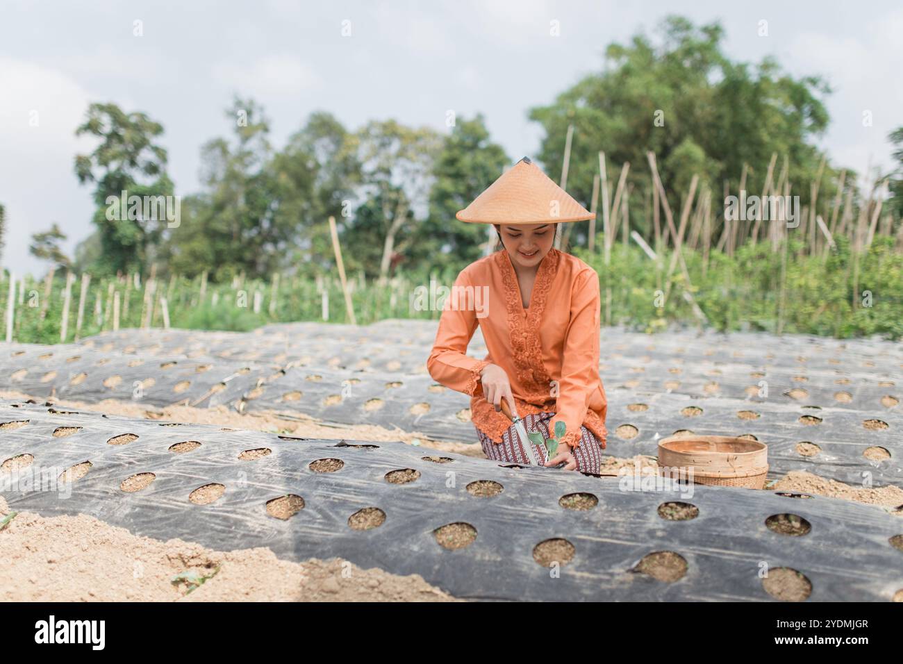 Traditional Farming Practices That Emphasize Seed Planting Techniques ...