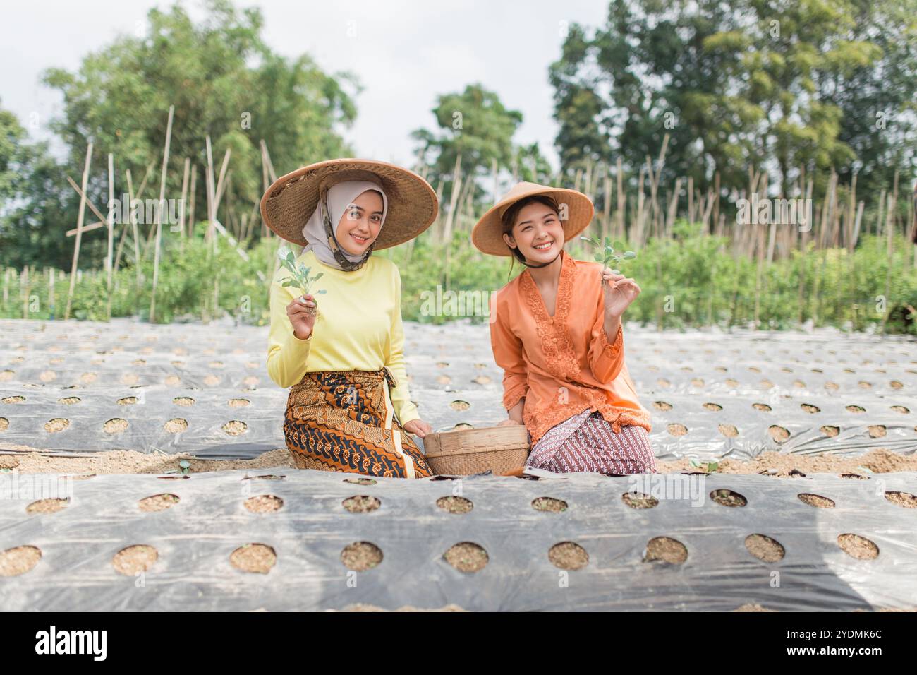 Joyful Farmers Dressed in Traditional Attire, Actively Working in the ...