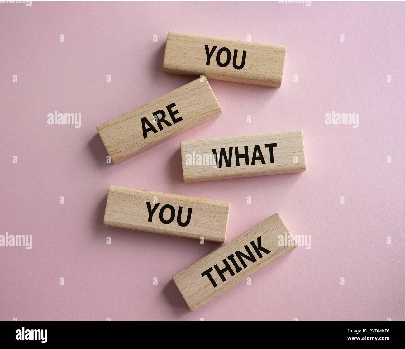 You are what you think symbol. Wooden blocks with words You are what ...
