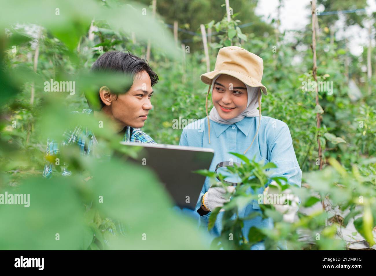 Two farmers are collaborating in a lush garden, cultivating a thriving, happy space Stock Photo ...