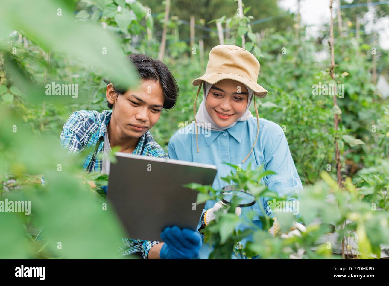 Young Farmers Engaging in Data Analysis While Working in a Lush ...