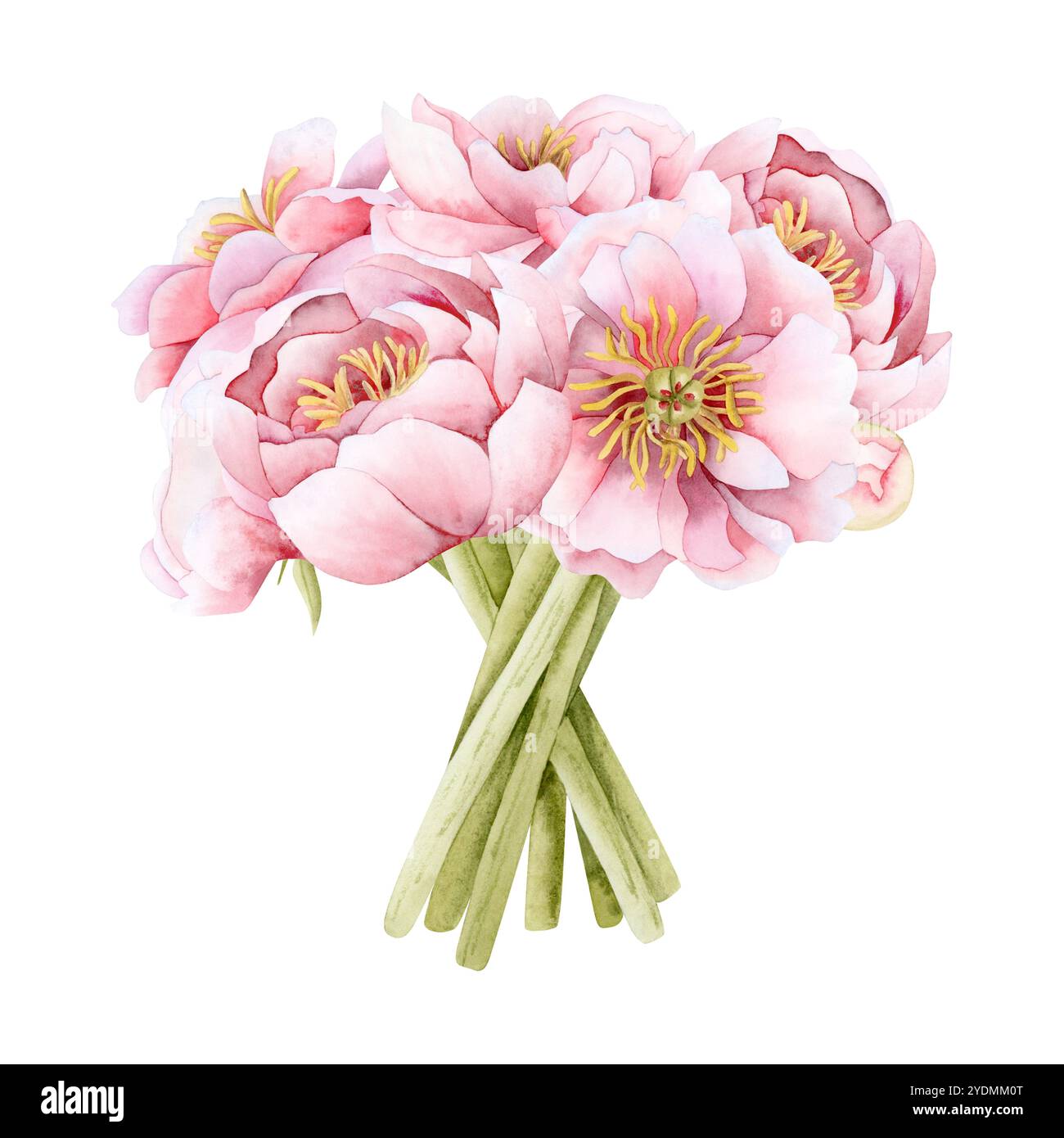 Delicate arrangement green stems Cut Out Stock Images & Pictures - Alamy